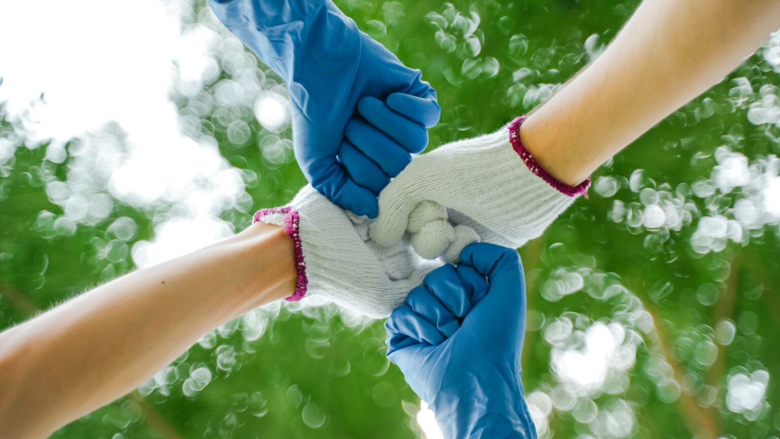 Environment Significance: Why a Healthy Planet Matters for Our Future