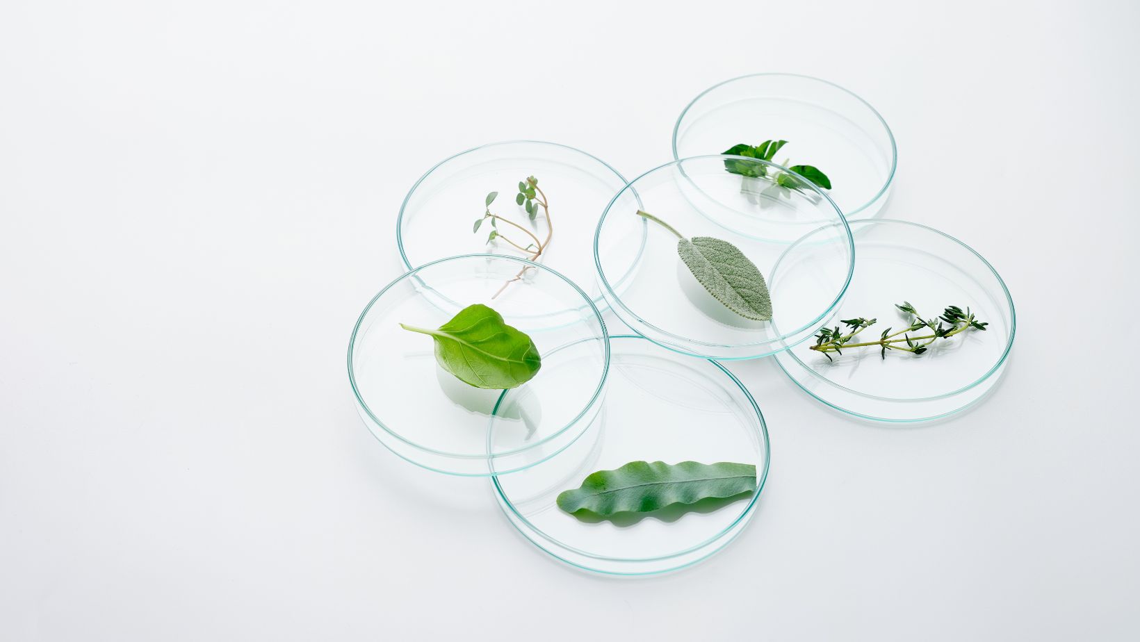 Environment Significance: Why a Healthy Planet Matters for Our Future ...